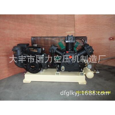 厂家供应 出口美国 FS3100卸荷-14HP美国KL汽油机+160L气