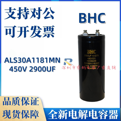 BHC450V2900UF电解电容器