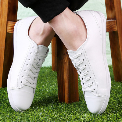 Largesizmen'whitofk467