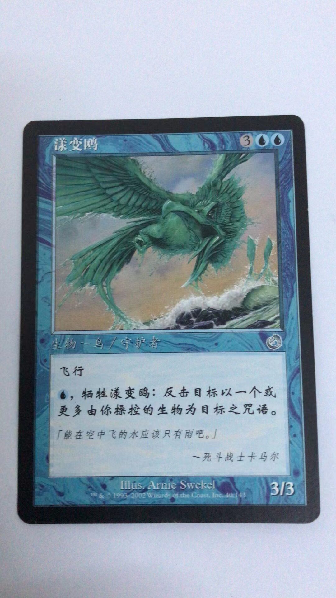 万智牌 漾变鸥 绝境 蓝色 银牌 简中 实拍 桌游卡牌 上海文波 MTG