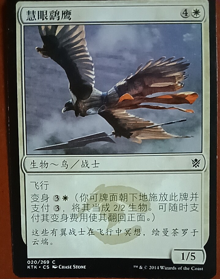【上海文波】万智牌 慧眼鹞鹰 鞑契可汗 简中 白 普 铁牌