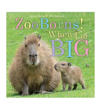 【现货】动物园宝宝等我长大ZooBorns! When I'm Big英文儿童绘本虚构类Andrew Bleiman精装6-9岁Beach Lane Books进口原版书