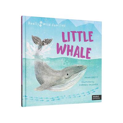 【现货】小鲸鱼的一天【Really Wild Families】Little Whale英文儿童绘本动物生态环保Anna Brett精装words & pictures3-6岁进口