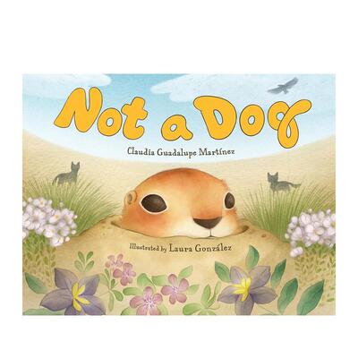 【现货】不是狗Not a Dog英文儿童绘本动物生态环保Claudia Guadalupe Martínez精装Charlesbridge进口原版书9781623543044