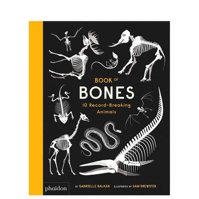【预售】骨骼之书10 种破纪录的动物Book of Bones: 10 Record-Breaking Animals英文儿童绘本知识百科Gabrielle Balkan精装Phaid