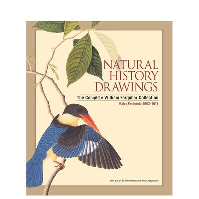 【预售】博物学手绘图谱 Natural History Drawings 原版英文艺术画册画集