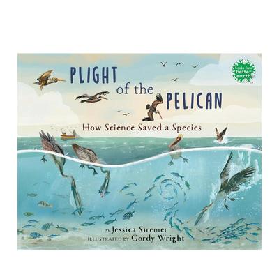 【预售】鹈鹕的困境科学如何拯救一个物种Plight of the Pelican英文儿童绘本动物生态环保Jessica Stremer精装6-9岁Holiday Hous