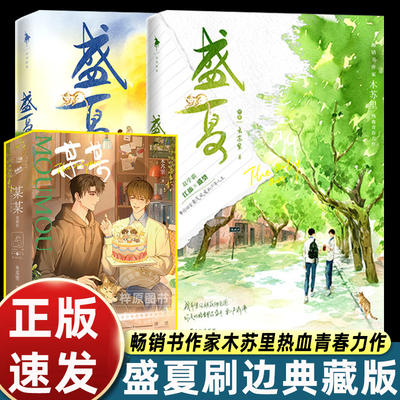某某正版小说全2册 盛夏序章典藏刷边版 木苏里实体书 附赠精美好礼 现代言情小说力作龛世 江添盛望晋江高分青春文学双男主