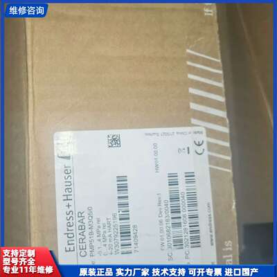 出一台Endress+Hauser的CERABAR，型号PM