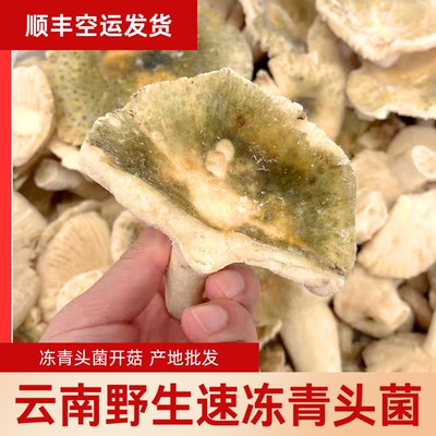 云南野生菌新鲜冻青头菌野生菌宴当季时令食用菌类蘑菇菌鲜货免洗
