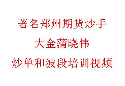 郑州炒手大金内部期货培训视频 炒单.波段详解期货视频教程培训课