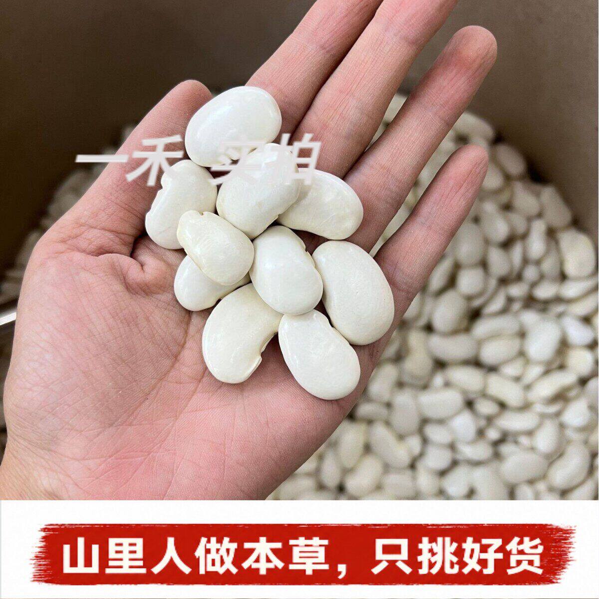大白芸豆】精选白腰豆白豆雪豆干货扁豆大肾豆白云豆五谷杂粮500g