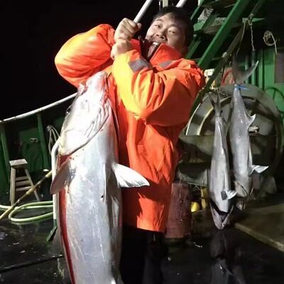 象山红甘鱼 章红鱼 黄狮鱼 刺身鲜活油红甘鱼 平均3-70斤/条 整条