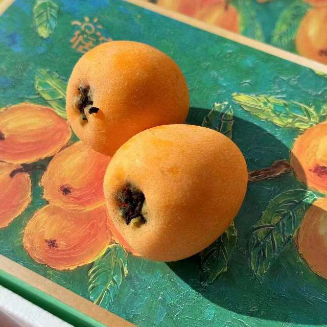 云南树熟甜枇杷 琵琶果礼盒装当季新鲜水果2.8斤/箱