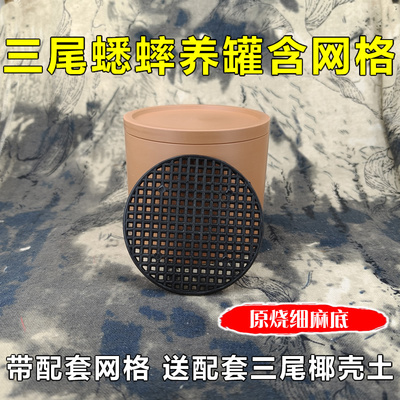 鲁秋鸣三尾斗蟋蟀蛐蛐养罐泥罐