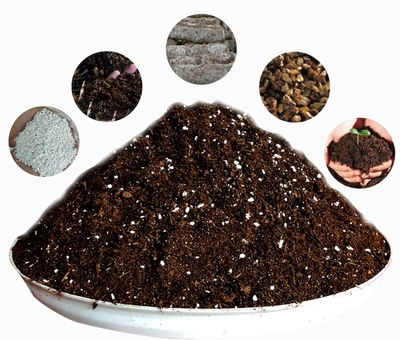 多肉植物发根花卉有机土