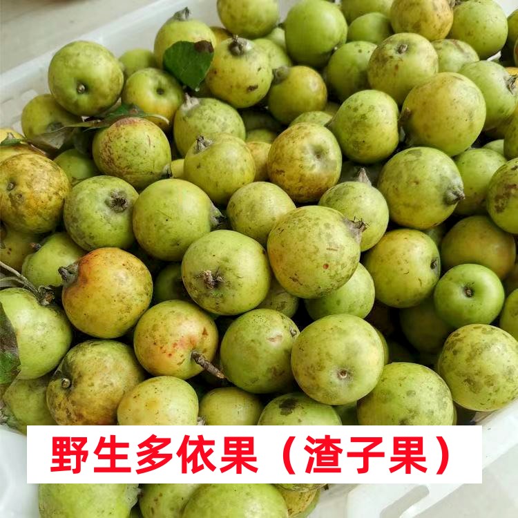 现摘新鲜野生嫩多依嫩木瓜云南特产当季孕妇开胃水果山地酸多依芽