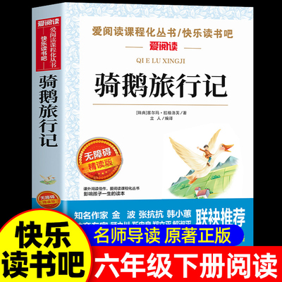 骑鹅旅行记尼尔斯骑鹅旅行记