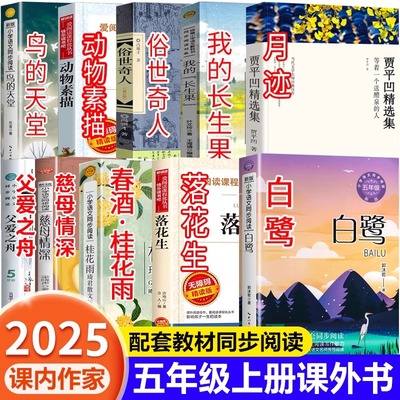 课内作家五年级上册必读的课外书白鹭郭沫若落花生许地山春酒桂花雨鸟的天堂月迹贾平凹动物素描城南旧事快乐读书吧5慈母情深课本