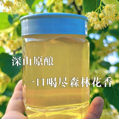 椴树蜜北纬46度寒地黑土原生态