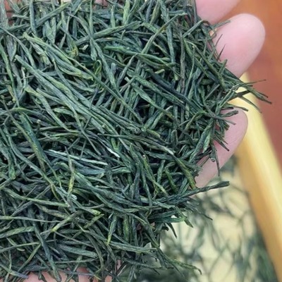 2025保康绿茶玉露香浓耐泡大口劲