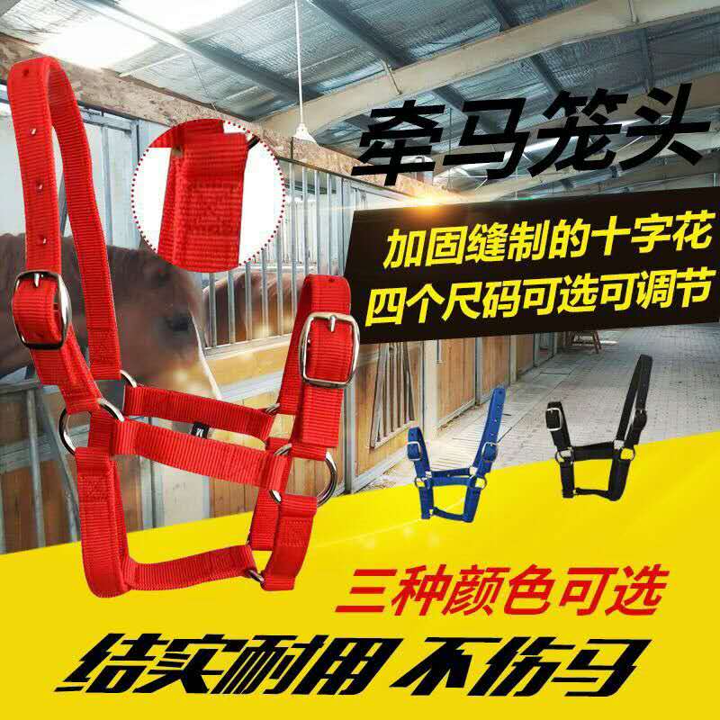 睿睿马具马笼头马龙头马具 牵马调教龙头马术用品 马笼套