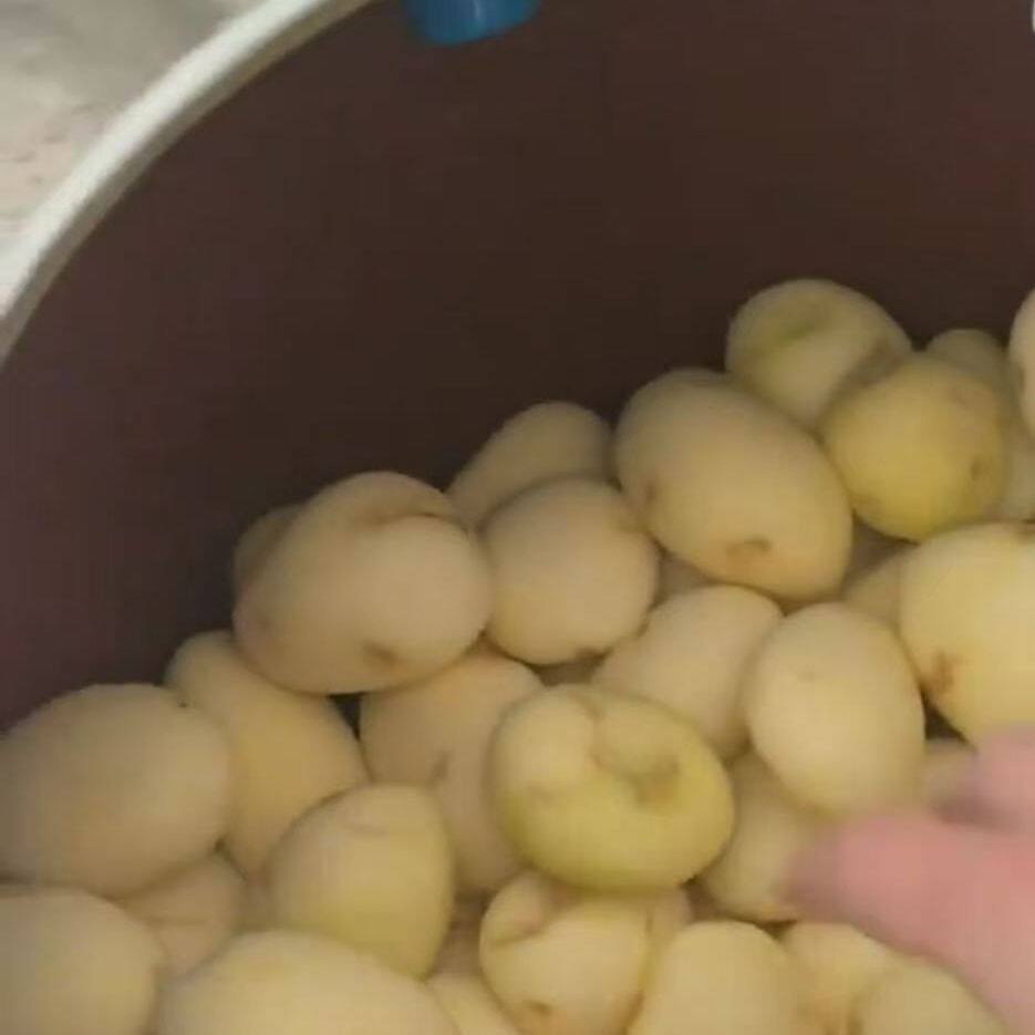 土豆去皮机商用小型全自动生姜削皮机清洗地瓜芋头马铃薯脱皮机器
