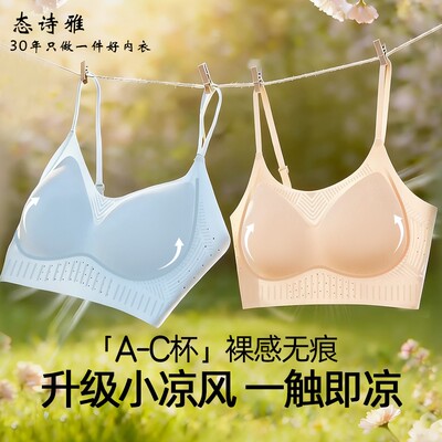 态诗雅夏季透气内衣女吊带薄款聚拢防下垂粉底液无痕收副乳文胸罩