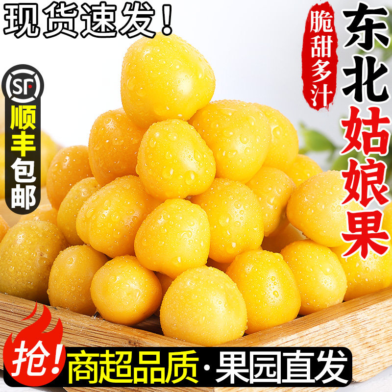东北姑娘果新鲜当季水果5斤黄菇娘灯笼果大果甜菇娘特产顺丰包邮