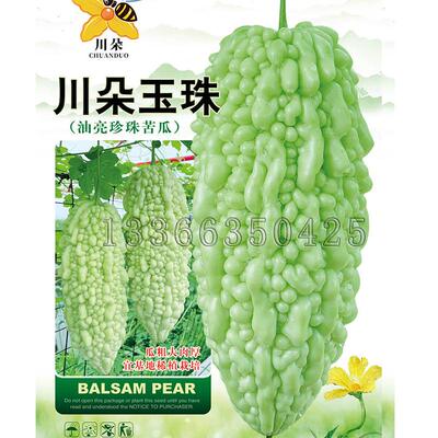 川朵玉珠油亮珍珠苦瓜种子 春播浅绿白色纺锤形凉瓜种子蔬菜种子
