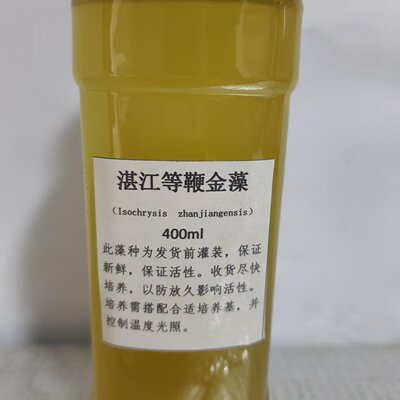 湛江等鞭金藻（Isochrysis zhanjiangensis）金藻培养基虾贝饵料