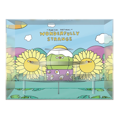 POPMART泡泡玛特 FLABJACKS奇思妙想小植物系列盲盒手办展示盒