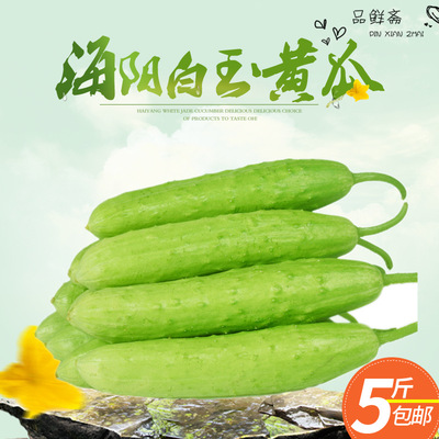 甜鲜脆嫩白玉黄瓜新鲜现摘