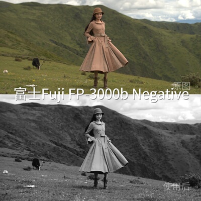 富士FujiFP-3000bNegativeLUT N-LogO-LogRec.709Gamma2.4DaViXT4