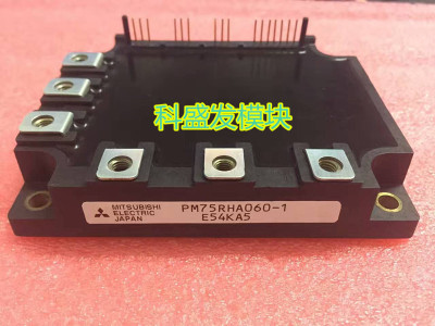 大量现货PM75RHA060-1保上机