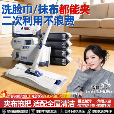 夹布拖把擦玻璃窗大扫除灰尘毛发