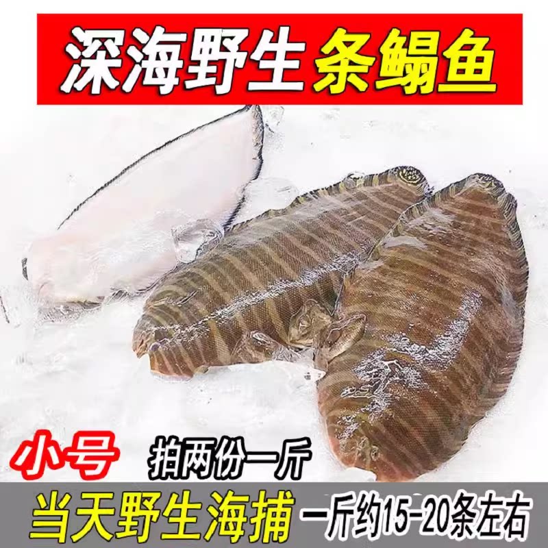 花手绢鱼新鲜鳎板鱼龙利鱼虎皮花条鳎1斤15-20条鲜活野生海鲜水产