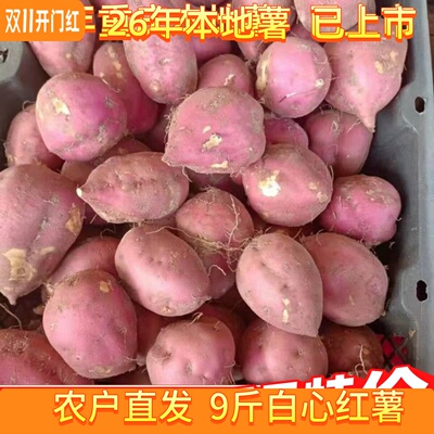 重庆红薯山芋助农地瓜红皮白心红薯新鲜干瓤粉红苕老板栗番薯9斤