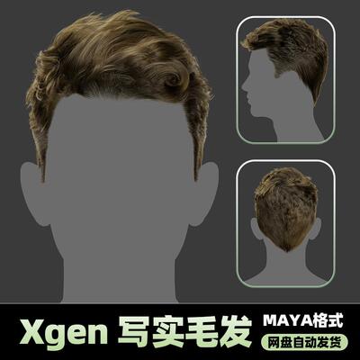 Xgen女性毛发国风现代美女人物角色发型泡面头maya3D模型丸子头