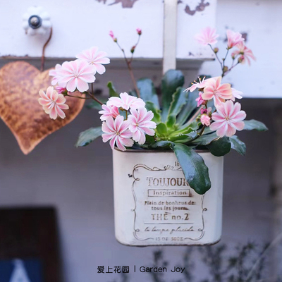 铁艺日系田园庭院装饰挂式花盆