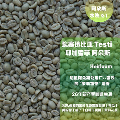 26新产季咖啡生豆 埃塞俄比亚 耶加雪菲 Testi 阿朵斯 水洗G1