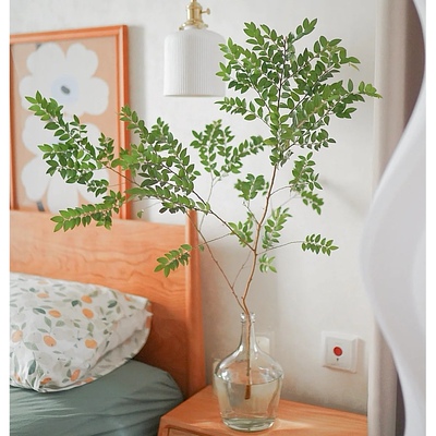 Gy美男树水培绿植物鲜切枝马醉木吊钟平替室内ins北欧风花卉在树