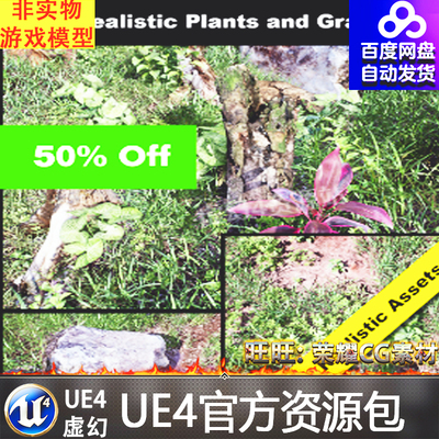 UE4虚幻4 Realistic Plants and Grass Pack 02 写实草地植物