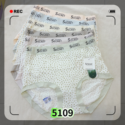 满3条包邮普利诗新5109大版高腰莫代尔印花舒适包臀内裤女三角裤