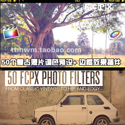 PROTO 51个复古照片调色预设+边框 效果插件 FINAL CUT PRO X