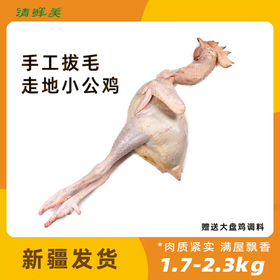 昌吉新鲜手工拔毛土鸡包邮