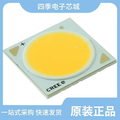 CXA2530-0000-000N0YR20E6 新品