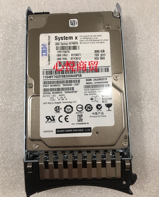 联想IBM服务器硬盘300G15K2.5