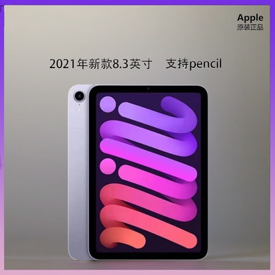 Apple/苹果 iPad mini (第六代) 无线局域网机型