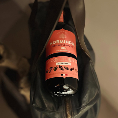 法国NORMINDIAGIN诺印西柚金酒